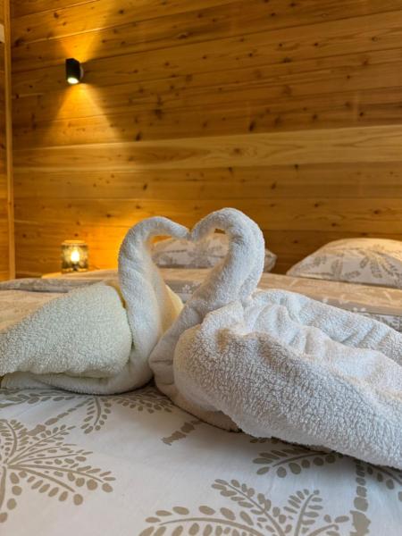 Le Ptit Chalet Du Bonheur - La Réunion