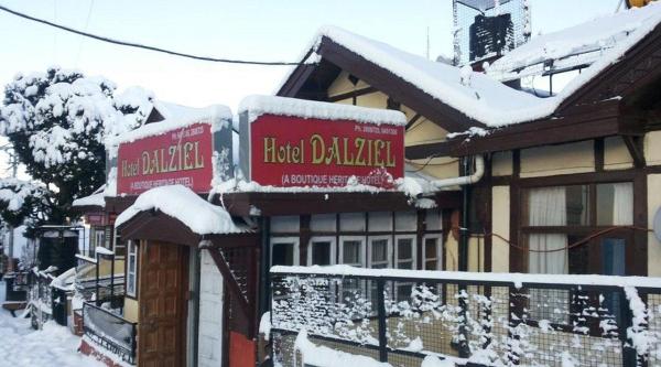 Hotel Dalziel - Shimla