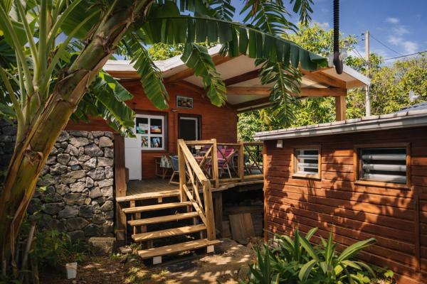 La Bananeraie Apt 35m2 Piscine Jardin Tropical Parking Privé - Saint-Leu