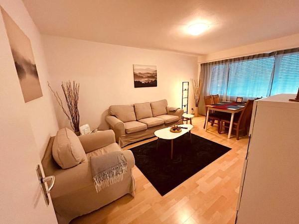 3-room Apartment Up To 5 Guests Family Business Free Wifi Netflix Sky Dazn Disney Plus 1000 International Tv Channels - Suisse