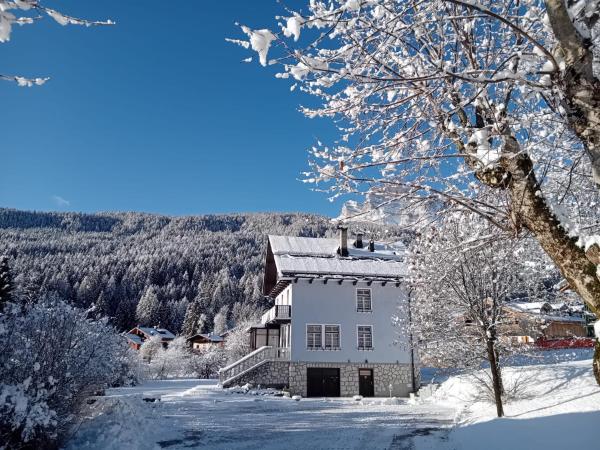 Dolomites Garden Flat Near Cortina - Borca di Cadore