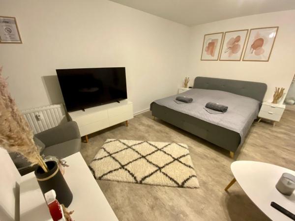 Apartment Moderne Und Gemütliche Ferienwohnung In Zwickau Free Wifi Und Netflix By Interhome - Glauchau