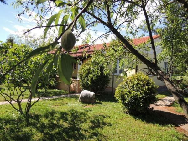 Holiday Home Melisa 4 By Interhome - Poreč