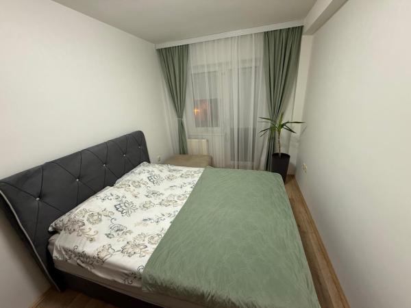 Apartman Odmor012-2 - Požarevac