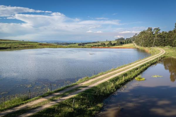 Merci Dieu Country Cottage - Howick