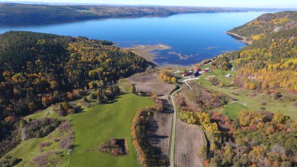 La Vieille Ferme, ÉCogîte - Saguenay