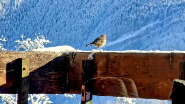 Cristaux Studio, With View To Mont Blanc - Parc national de la Vanoise