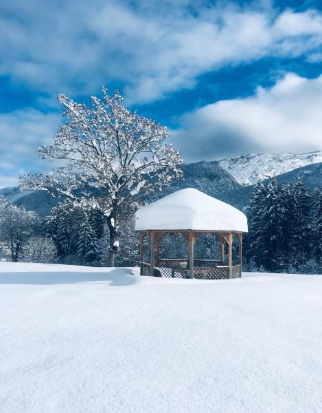 Villa Al Parco - Pieve di Cadore