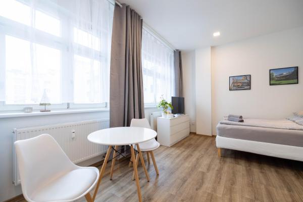 Historic Center Brno Apartment - Brno