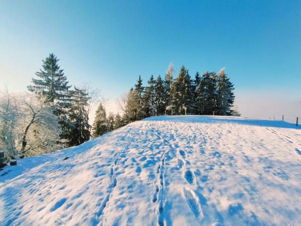 Peaceful Countryside Apartments Gradišnik Complete Silence - Slovénie