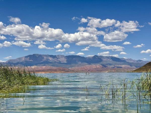 Cactus Alley In Escondido With Shared Pool And Hot Tub - St. George, USA