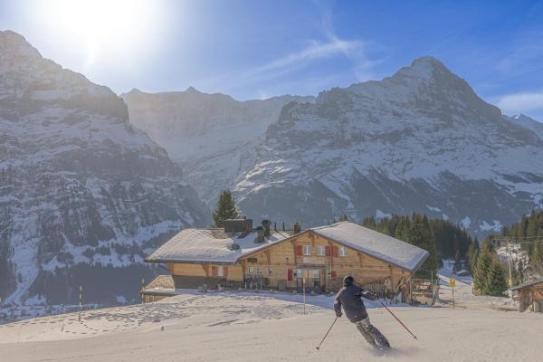 Alpinhotel Bort - Brienz