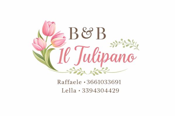 Il Tulipano Camera Con Bagno Privato A Marcianise - Capua