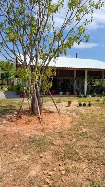 Anna Garden Homestay - Sikao District