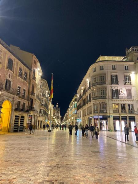 Larios Rooms - Málaga