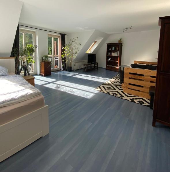 Zentrale Ferienwohnung Anker Im Sonnenblumenhaus - Flensburg