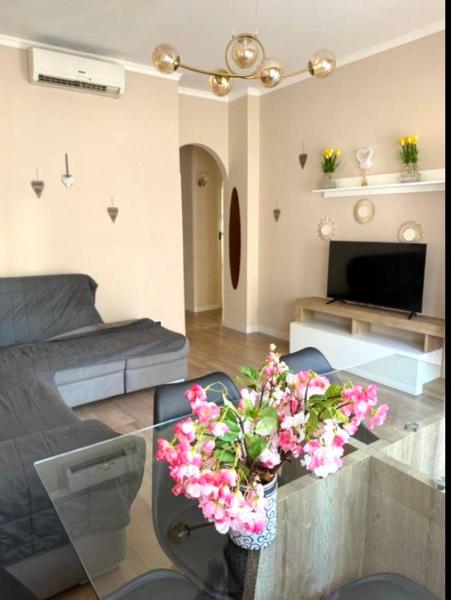 Nt Tourist Accommodation - Civitavecchia
