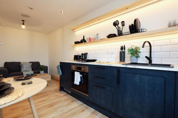 The Swansea Central Hall 1 Bed Room Apartment - Swansea