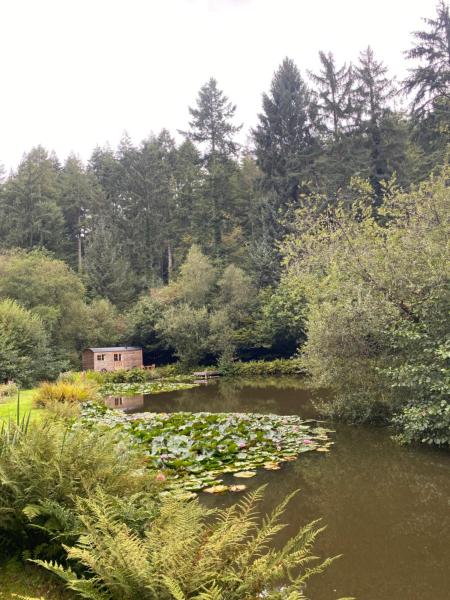 The Goose Nest Luxury Lakeside Shepherd Hut In Cardinham Woods, Cornwall - Bodmin