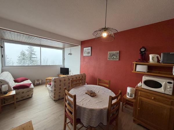 Bel Appartement T3, Rénové, 2 Chambres, Ski à 200m - Fr-1-787-145 - Vic-sur-Cère