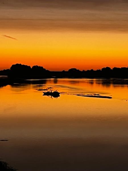 Le Grain D Or - Blois