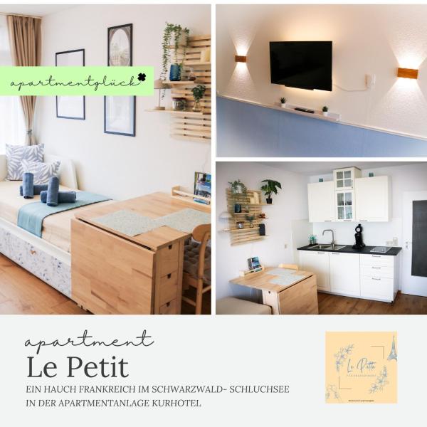 Apt - Le Petit Mit Pool Und Sauna - Schluchsee