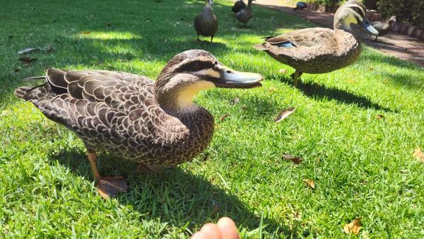 Adamsons Riverside - Margaret River