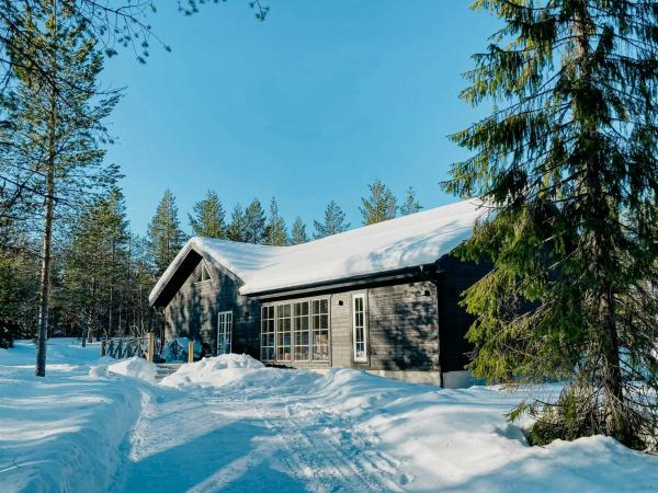 Spacious Mountain Cabin Among Birches In Vemdalen - Vemdalen
