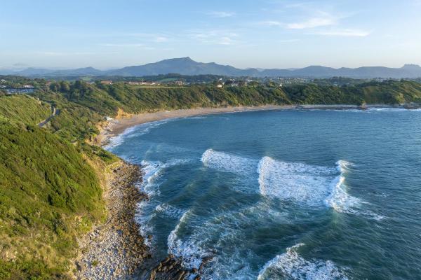 Bonjour Sauvage Saint Jean De Luz - Urrugne
