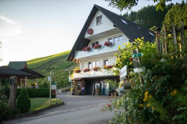 Ferienwohnung Baßler Schlossblick - Kappelrodeck