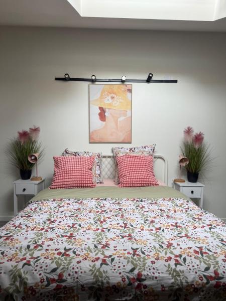 Jolie Shamma Duplex Reims Avenue De Laon - フランス ランス