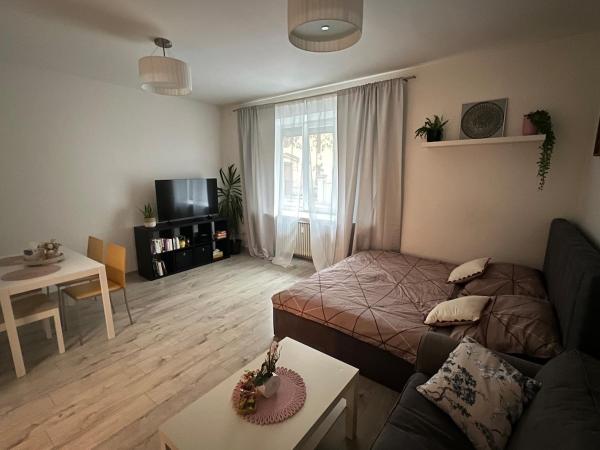 1-bedroom Apartment In The Center Of Bratislava - Bratislava