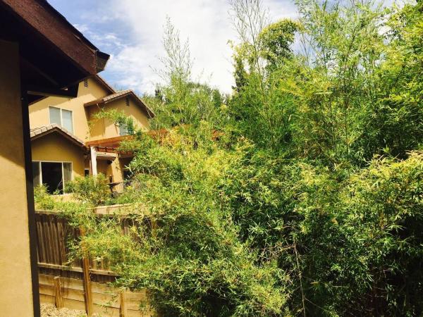 Gorgeous Cottage In Fair Oaks Village - Roseville, CA