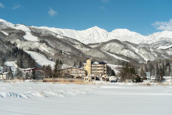 Hotel Goryukan - Hakuba