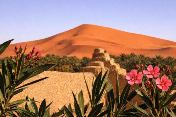 Auberge La Vallée Des Dunes - Morocco