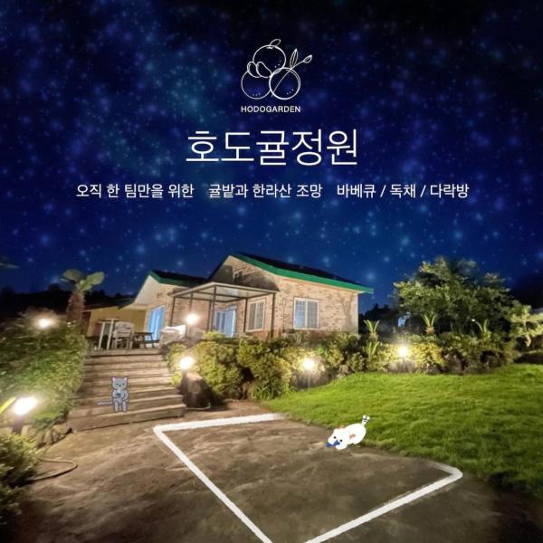 호도귤정원 Private House In A Spacious Tangerine Orchard, Jacuzzi, Bbq, One Team Per Day, Center Of Seogwipo, Maeil Olle Market 5 Minutes - Jeju-do
