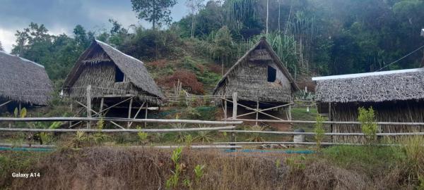 Khao Sok Moon Light Hill Camp - Khura Buri District