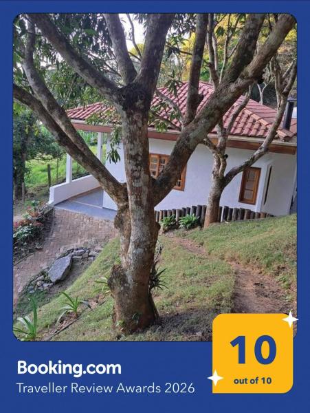 Orobó Kaá - Entre A Floresta E A Vida No Campo - Taubaté