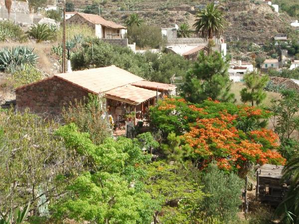 La Casa De Los Pinos Temisas - Gran Canaria