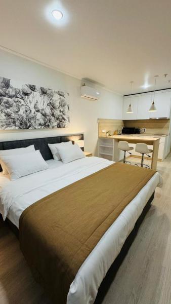 Ye Апартаменты у ботанического сада - Astana