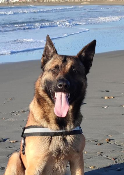 Chez Loulou - Camargue