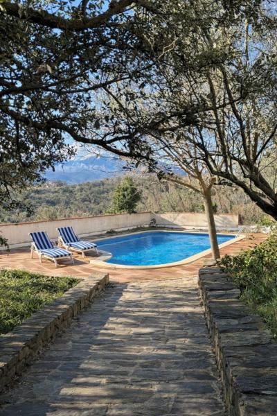 Chai Chateau Viticole Avec Piscine Dans Le Sud De La France - Ille-sur-Têt