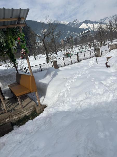 Decent Stay - Manali