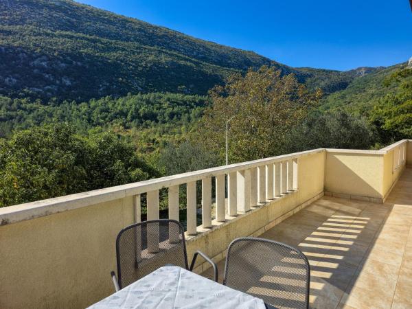 Apartment Ruza - Mimice