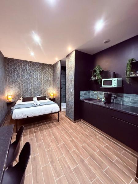 Lafargue 1 - Studio - Villeurbanne - Villeurbanne