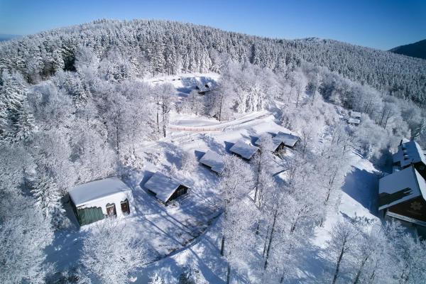 Bungalovy-pustevny - Czechia