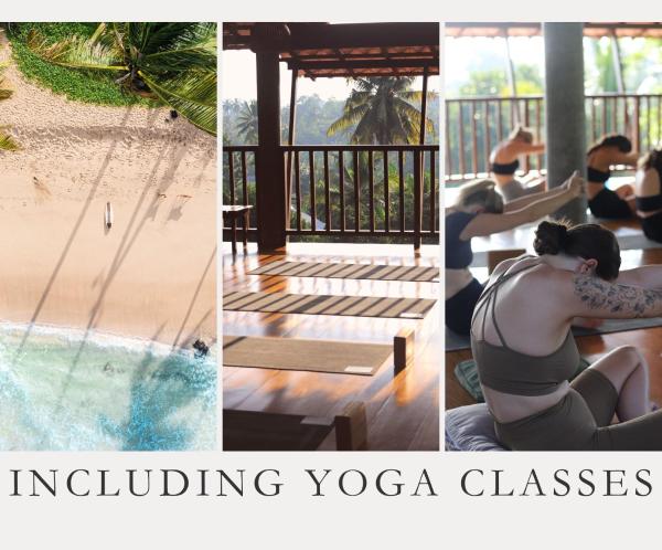 The Jungle View - Mirissa