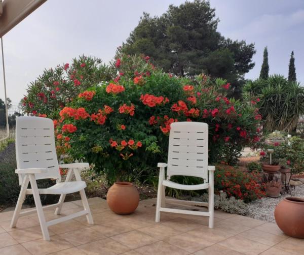 Bompastor - Languedoc-Roussillon