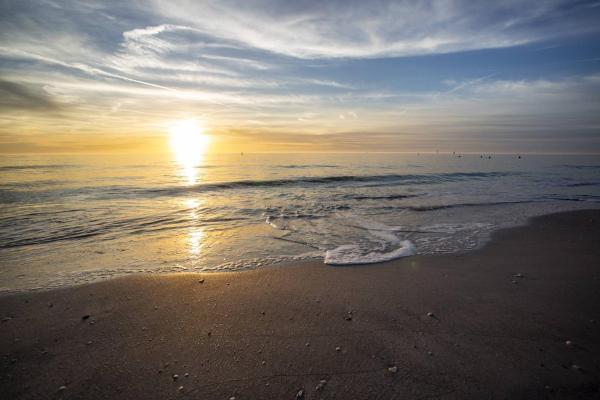 4 - Silver Sands - Coral - Treasure Island, FL