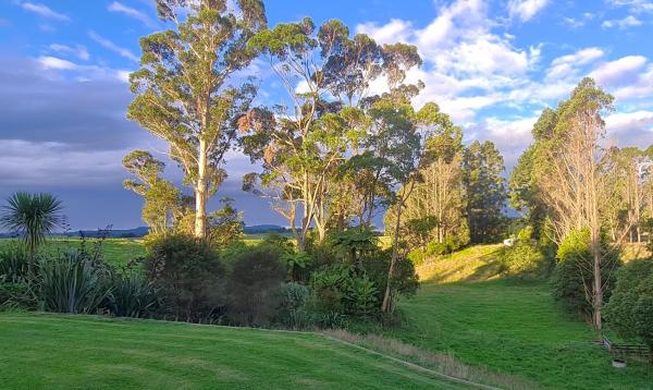 Rolling Hills Country Stay B&b - Bay of Plenty